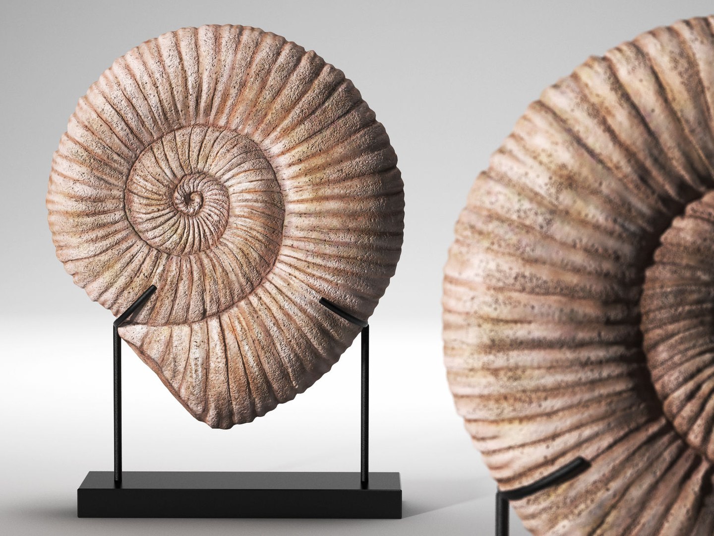3D Fossil Iron-marble Shell Sculpture - TurboSquid 1226068