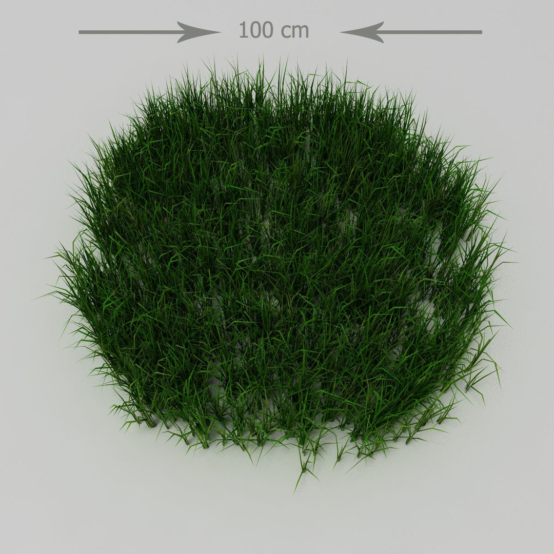 3d Grass