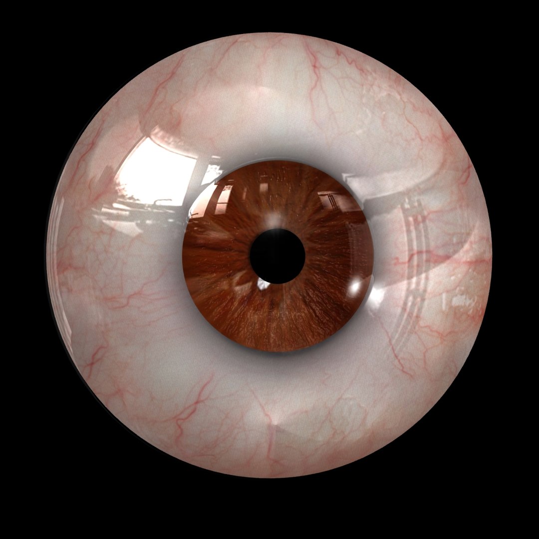 Realistic Eye 3d Model