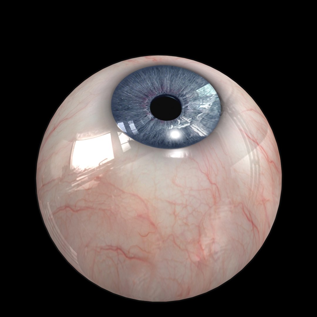 Realistic Eye 3d Model