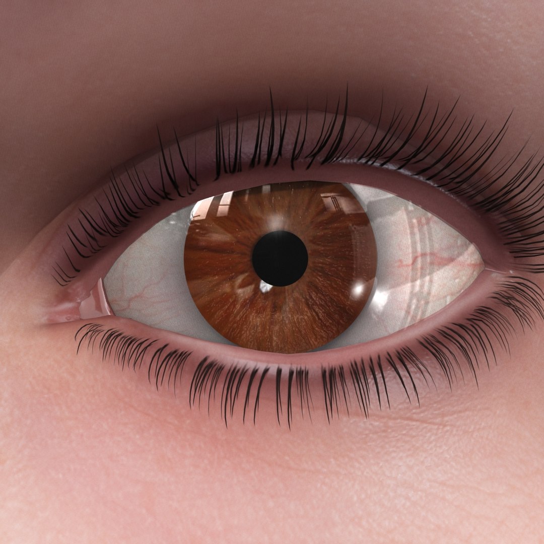 Realistic Eye 3d Model
