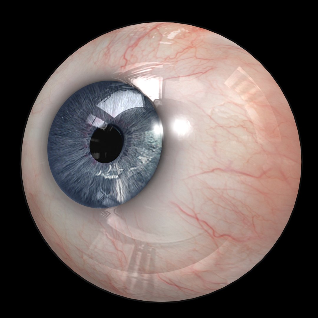 Realistic Eye 3d Model