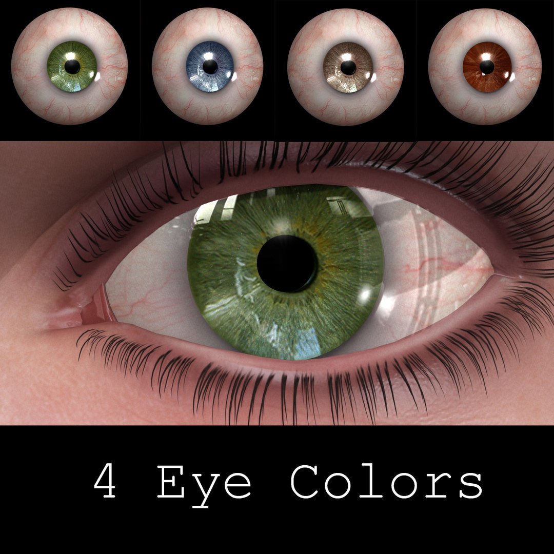 Realistic Eye 3d Model