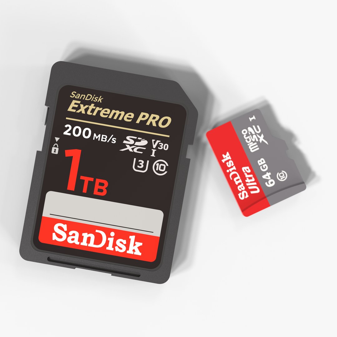 3D Model SD Cards - TurboSquid 2175370