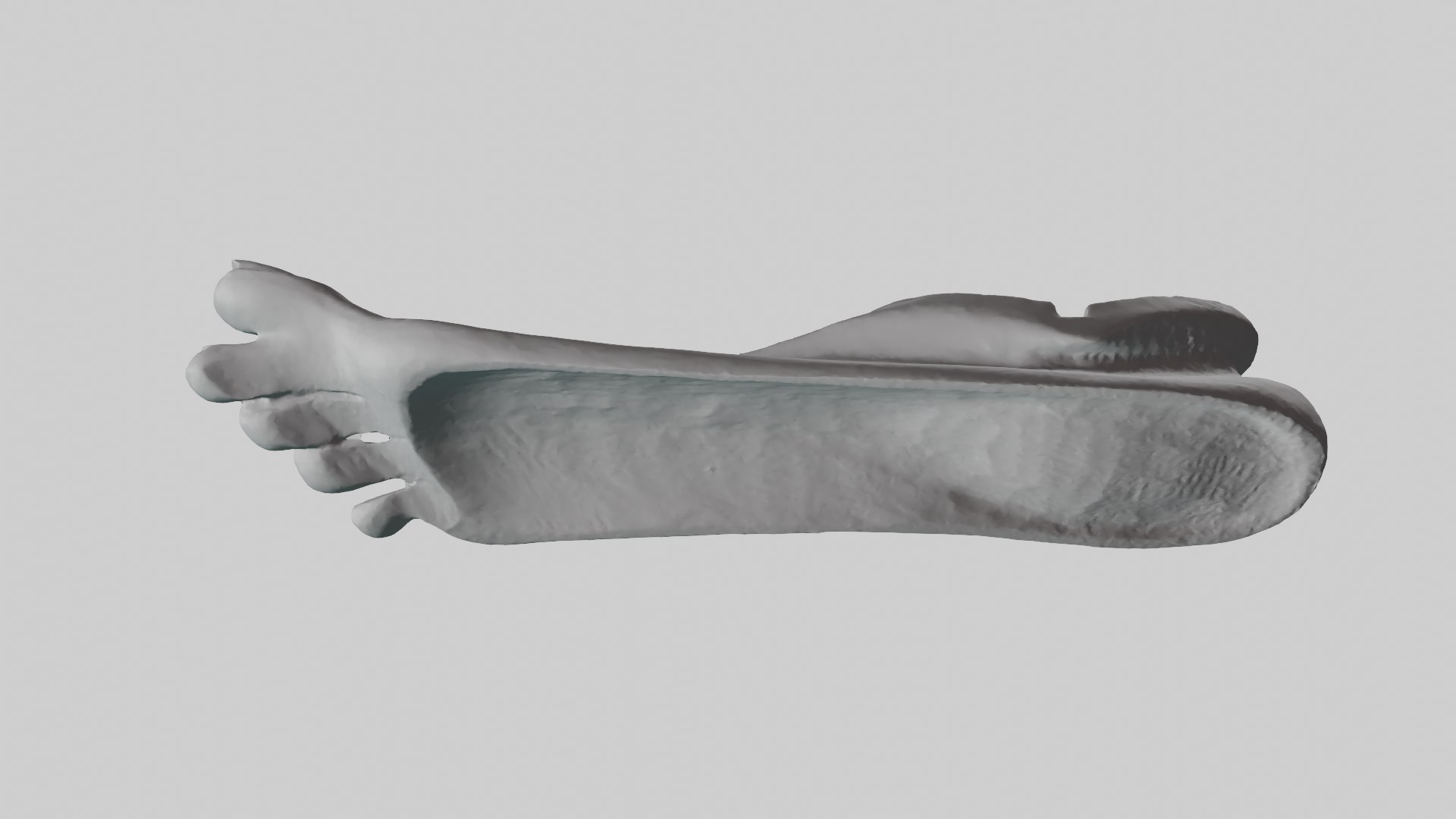 Cuban Foot 3D Model - TurboSquid 2126559