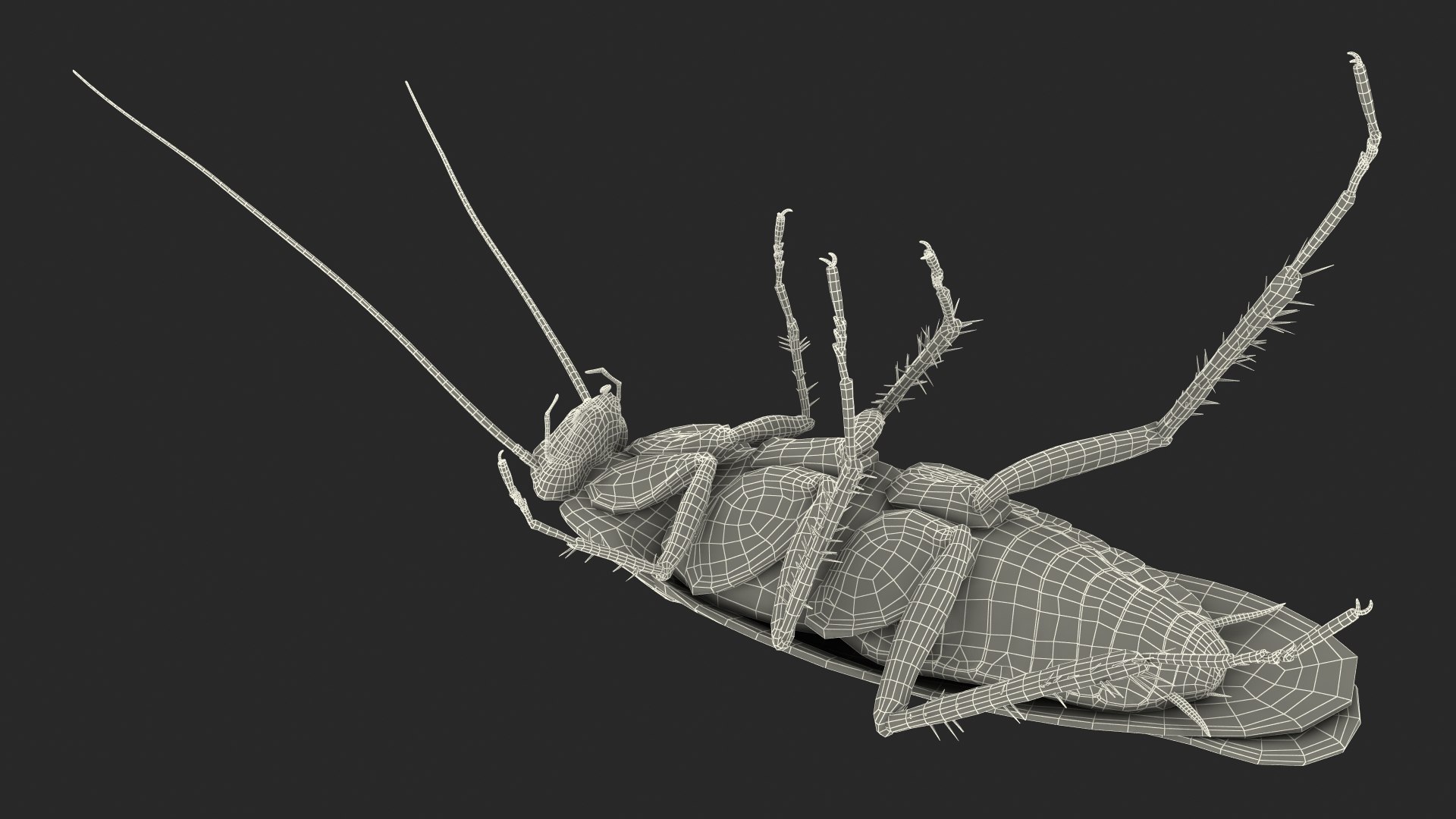 3D Animated Cockroach Upside Down Rigged For Maya - TurboSquid 2106243