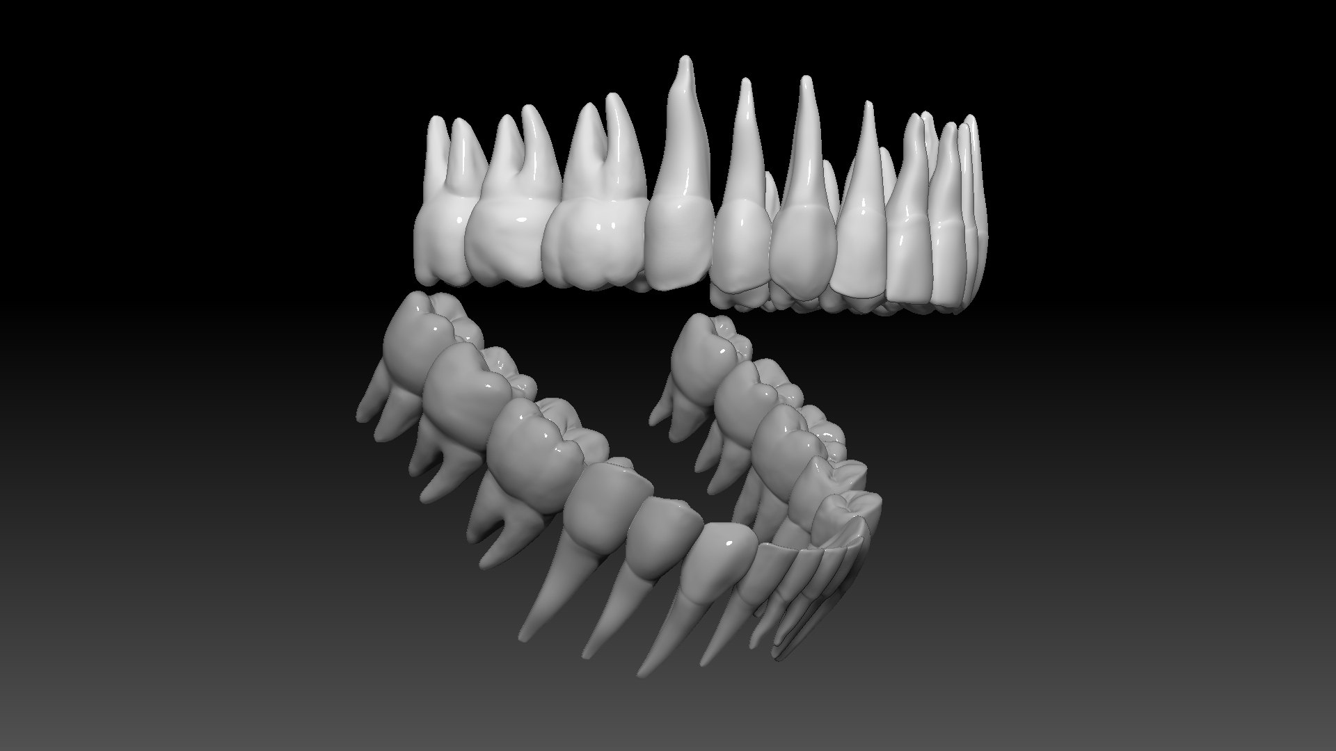 Jaw With Teeth LowPoly And HiPoly 3D Model - TurboSquid 1984113