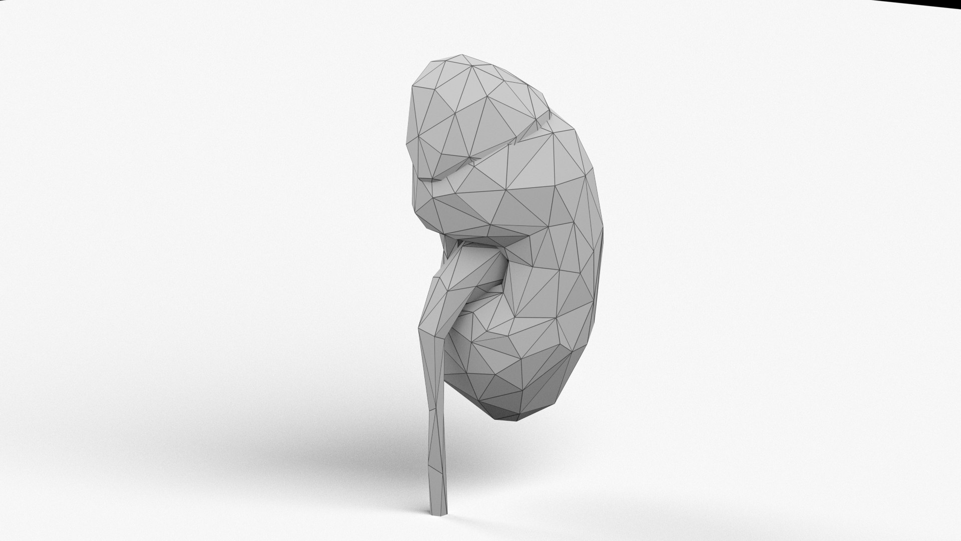 Stylized LowPoly Kidney 3D Model - TurboSquid 1804084