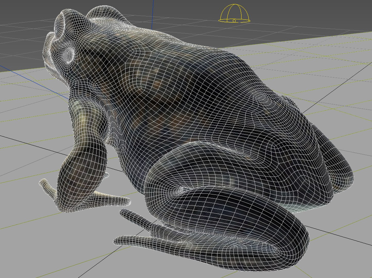 3d model frog