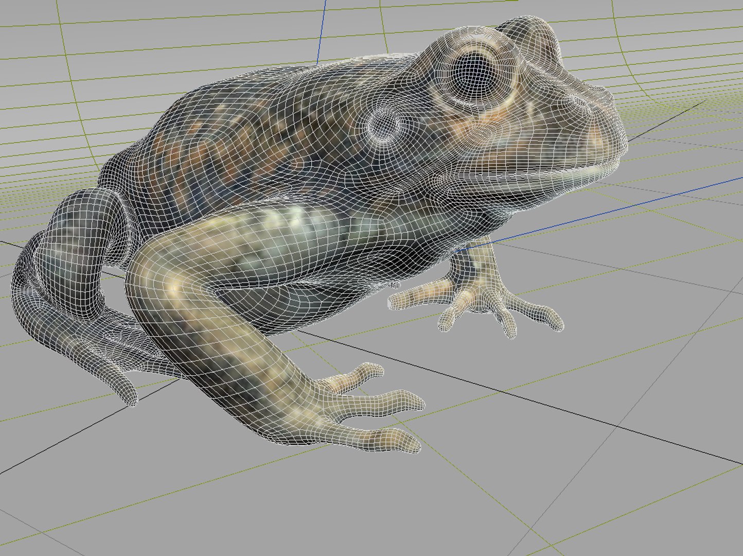 3d model frog