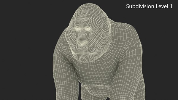 modelo 3d El gran simio Gigantopithecus se apoya en cuatro extremidades ...
