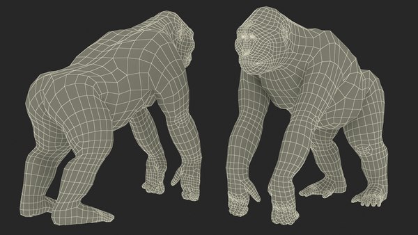 modelo 3d El gran simio Gigantopithecus se apoya en cuatro extremidades ...