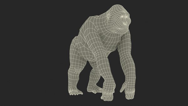 modelo 3d El gran simio Gigantopithecus se apoya en cuatro extremidades ...