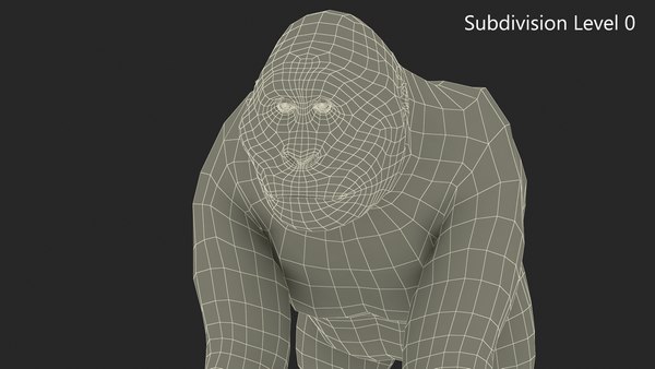 modelo 3d El gran simio Gigantopithecus se apoya en cuatro extremidades ...