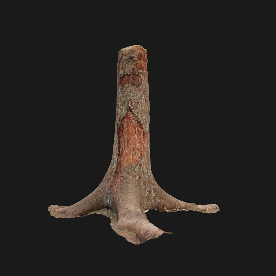 Dead tree scan model - TurboSquid 1421027