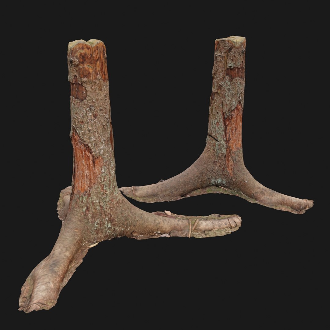 Dead tree scan model - TurboSquid 1421027