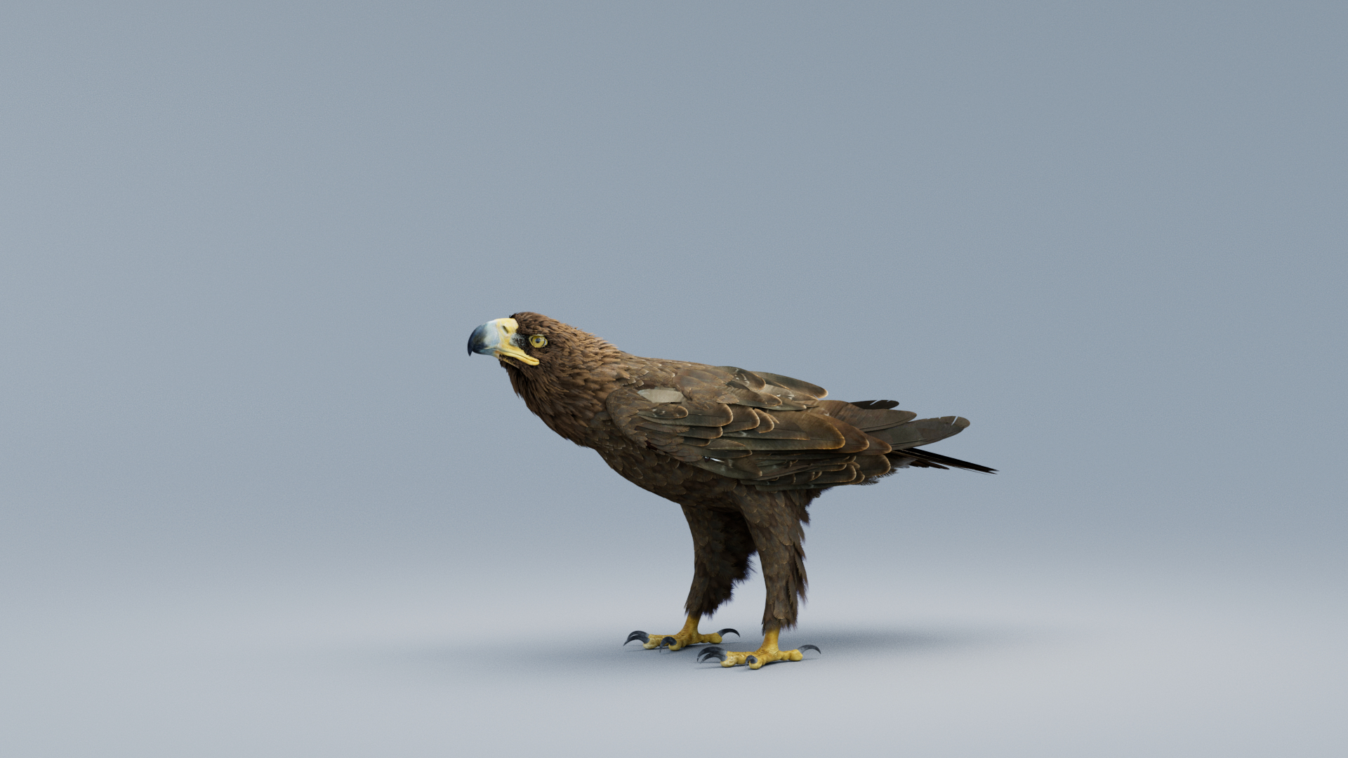3D Golden Eagle ANIMATED - TurboSquid 2324591