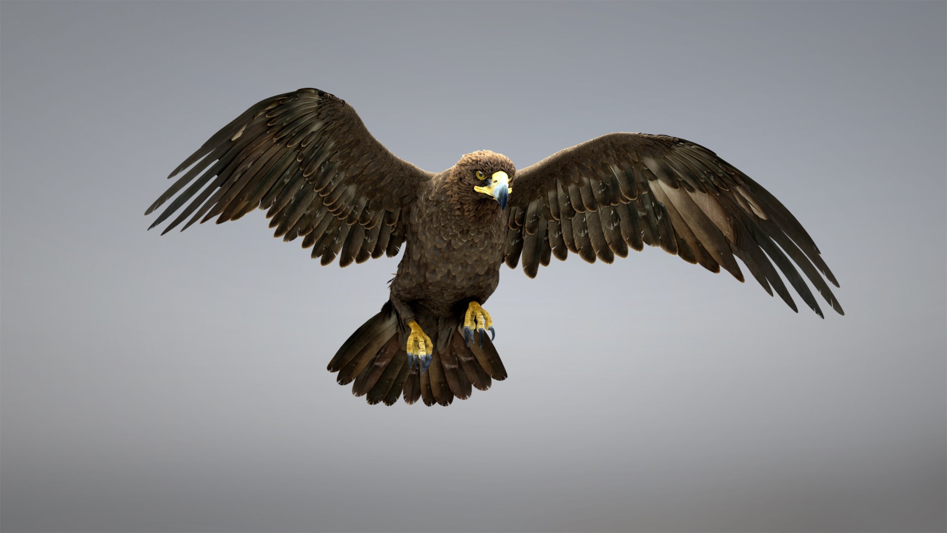 3D Golden Eagle ANIMATED - TurboSquid 2324591