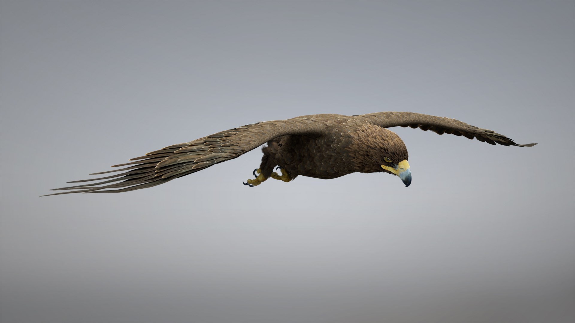 3D Golden Eagle ANIMATED - TurboSquid 2324591