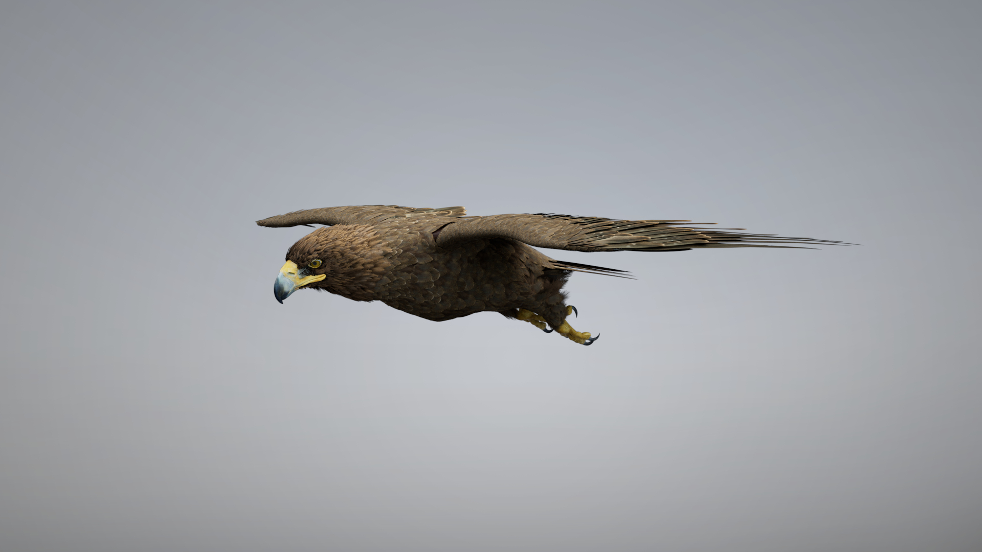 3D Golden Eagle ANIMATED - TurboSquid 2324591