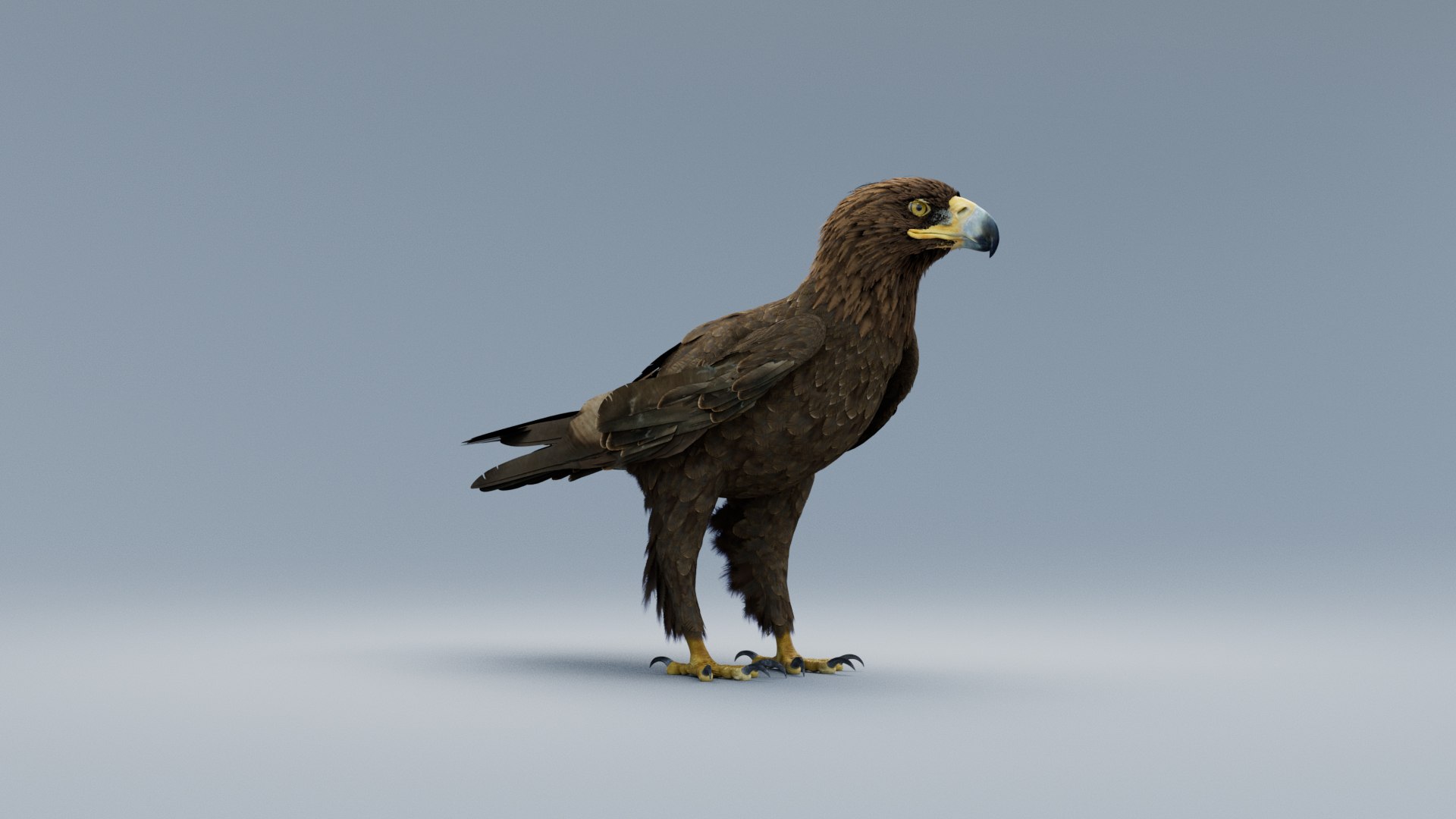 3D Golden Eagle ANIMATED - TurboSquid 2324591