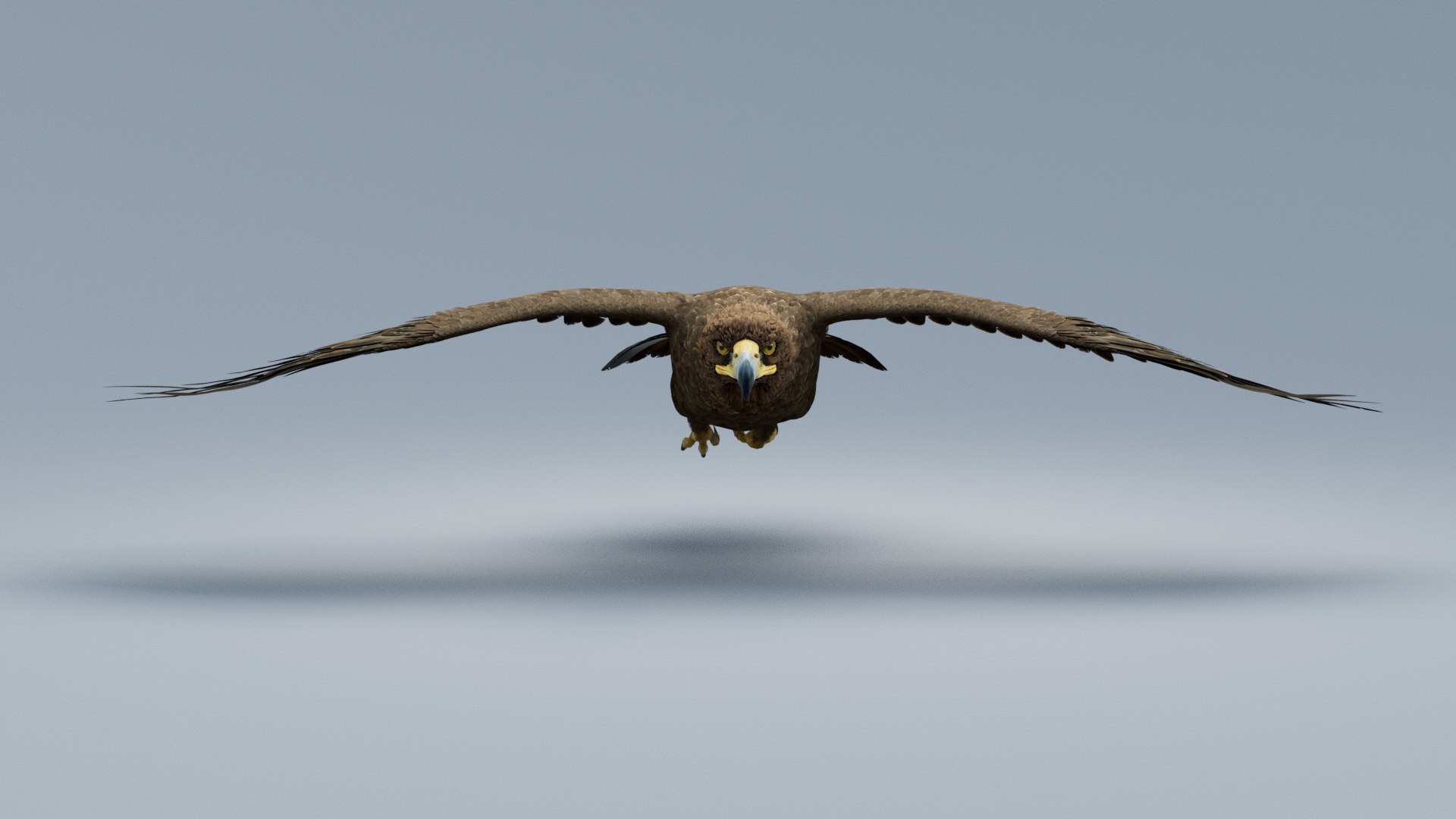 3D Golden Eagle ANIMATED - TurboSquid 2324591