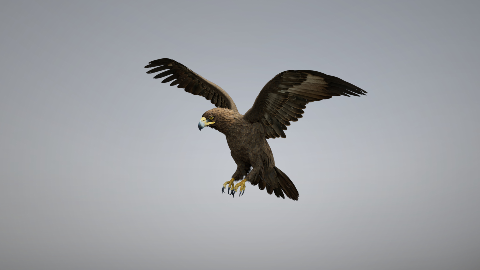3D Golden Eagle ANIMATED - TurboSquid 2324591