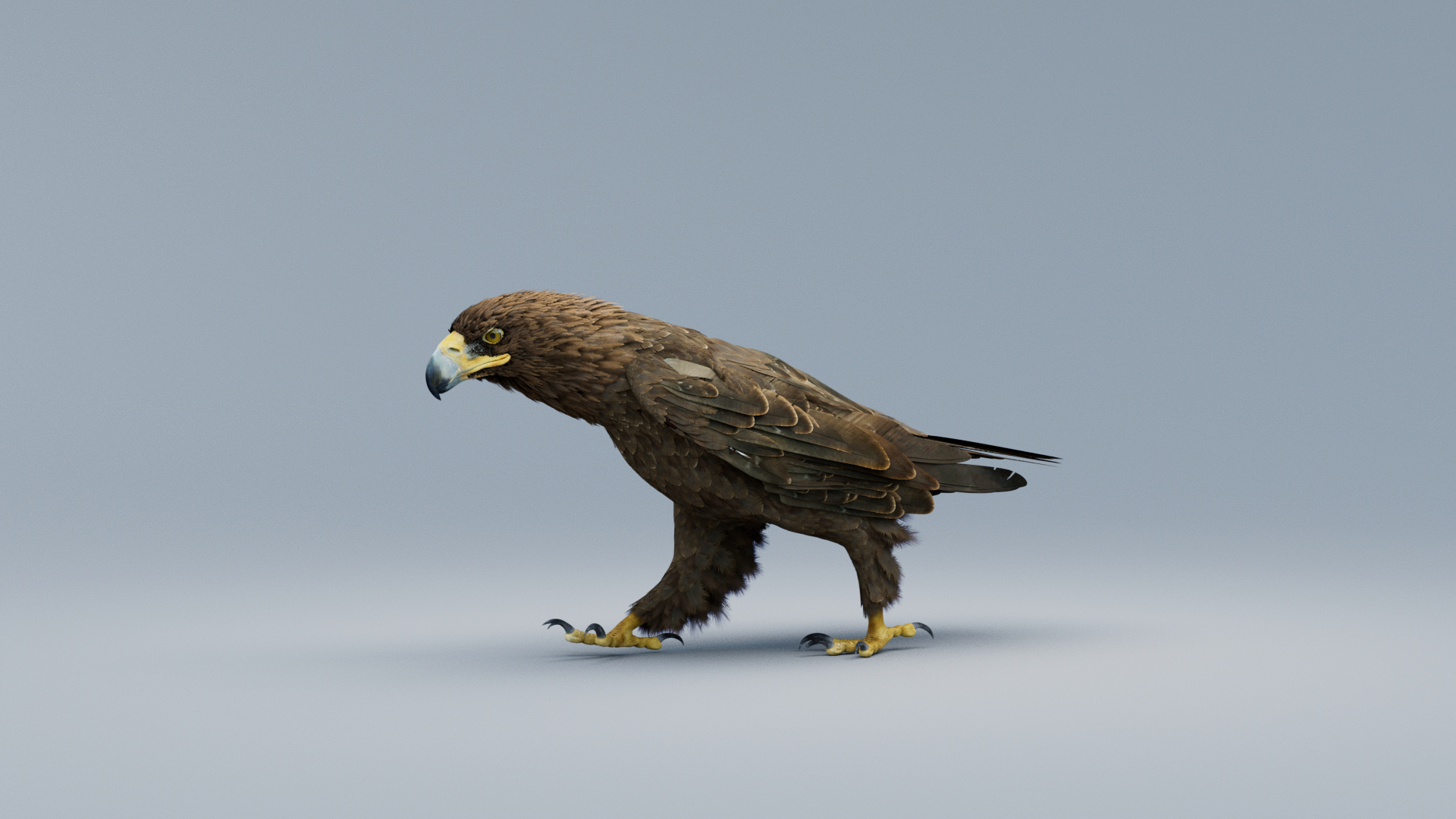 3D Golden Eagle ANIMATED - TurboSquid 2324591