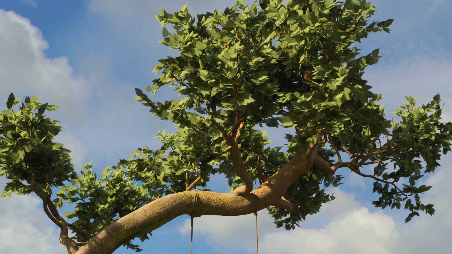 3D Tree Swing - TurboSquid 1930855