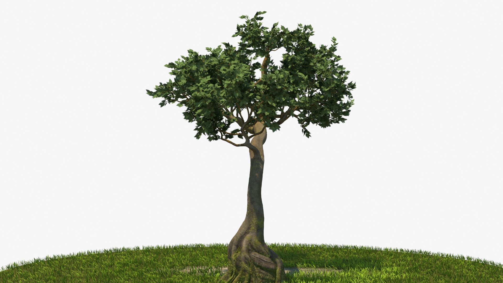 3D Tree Swing - TurboSquid 1930855