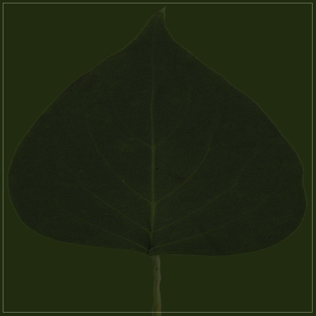 3D Tree Swing - TurboSquid 1930855