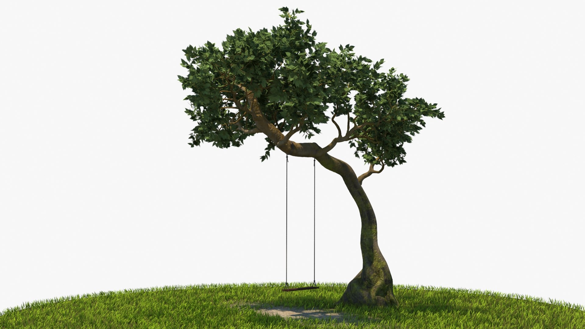 3D Tree Swing - TurboSquid 1930855