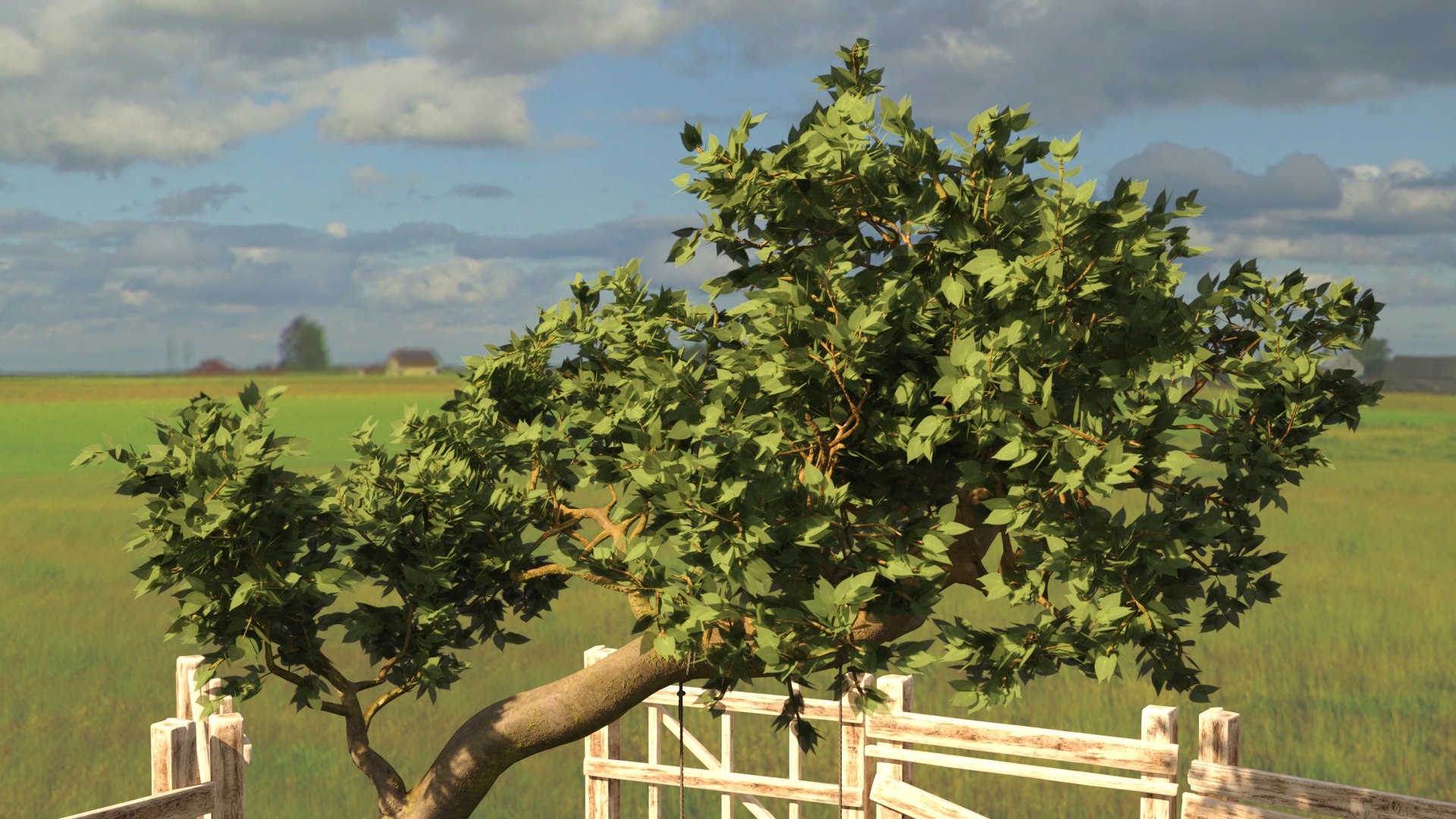 3D Tree Swing - TurboSquid 1930855