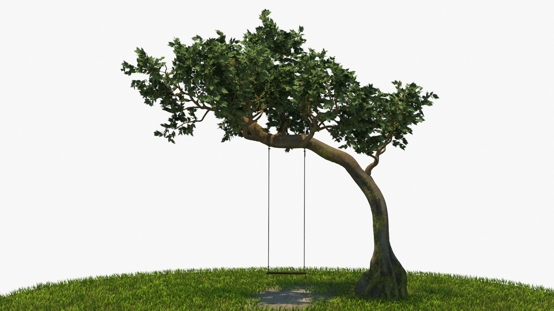 3D Tree Swing - TurboSquid 1930855
