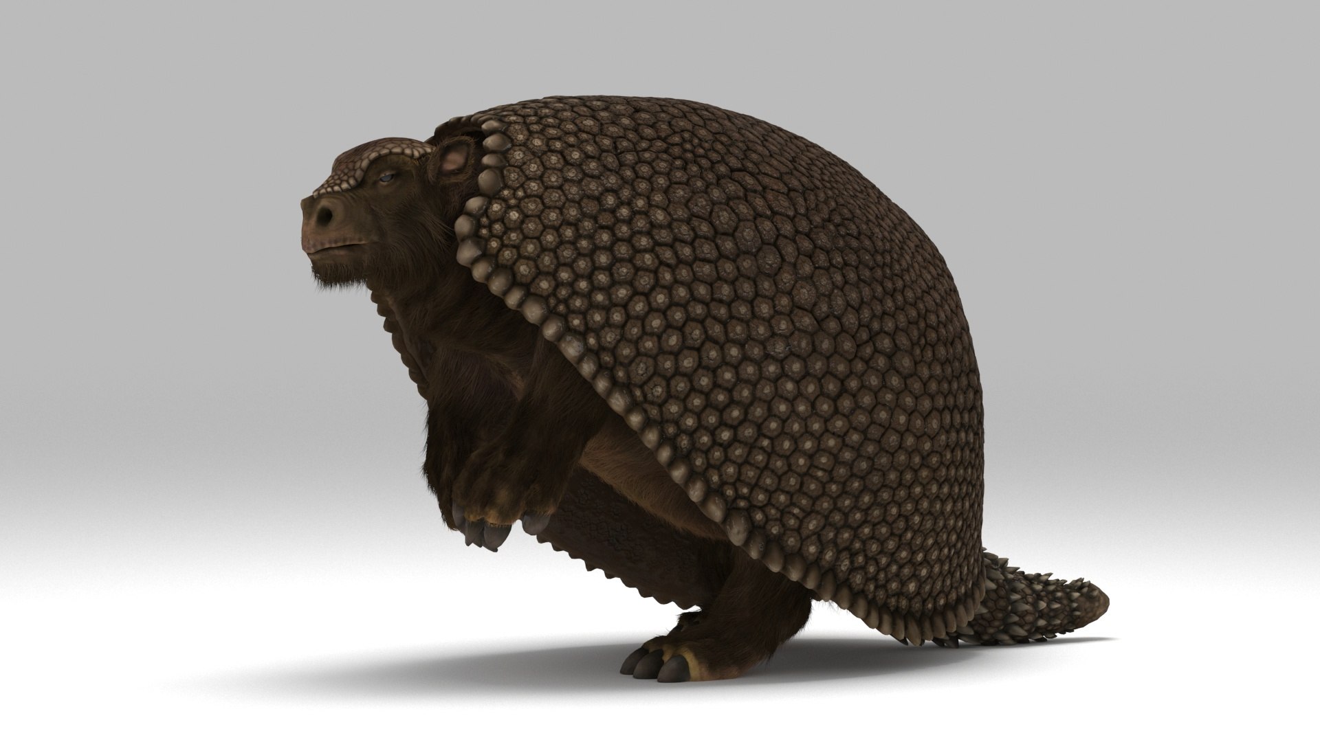 3D Glyptodon Extinct Ice Model - TurboSquid 1290761