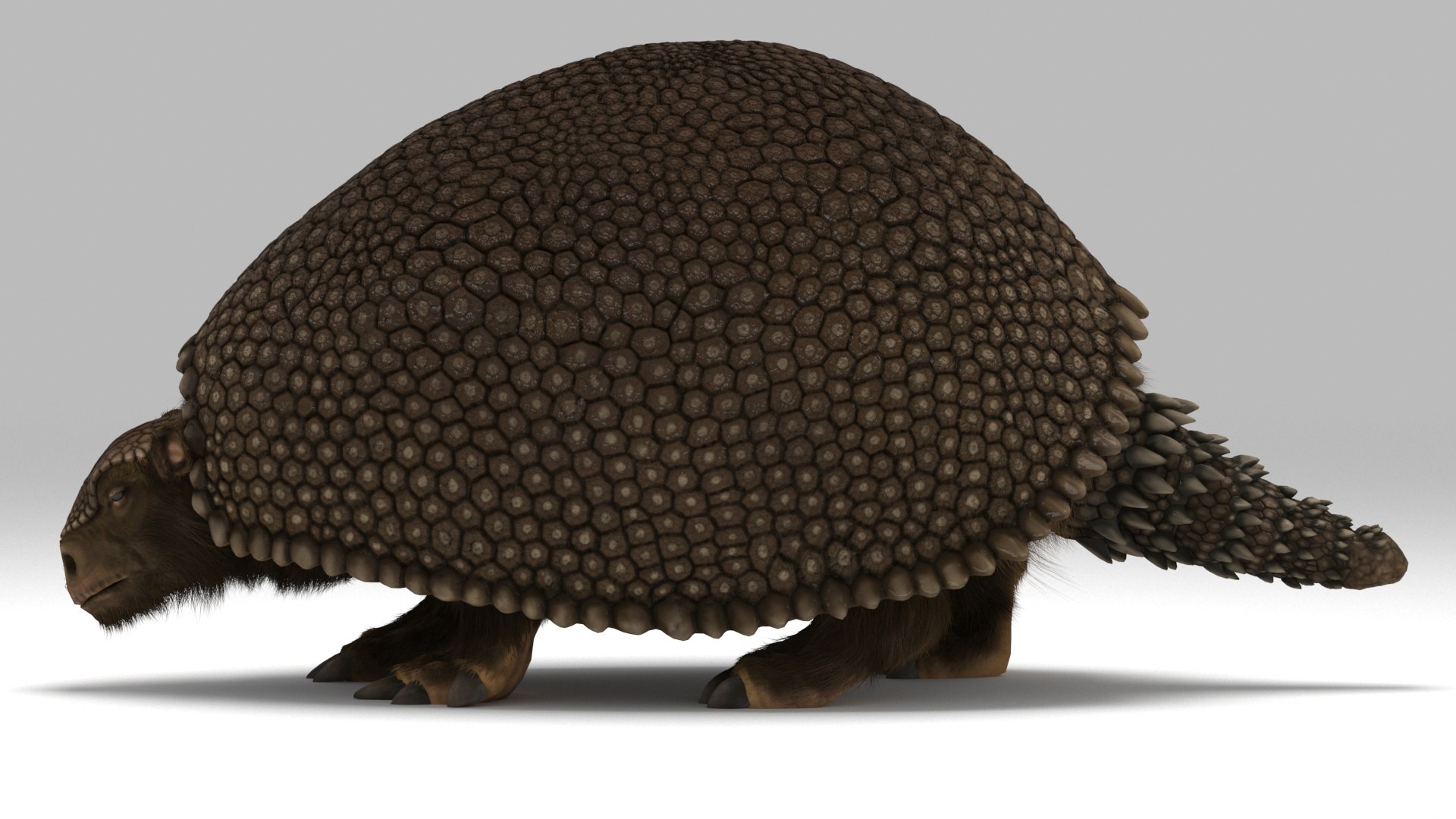 3D Glyptodon Extinct Ice Model - TurboSquid 1290761