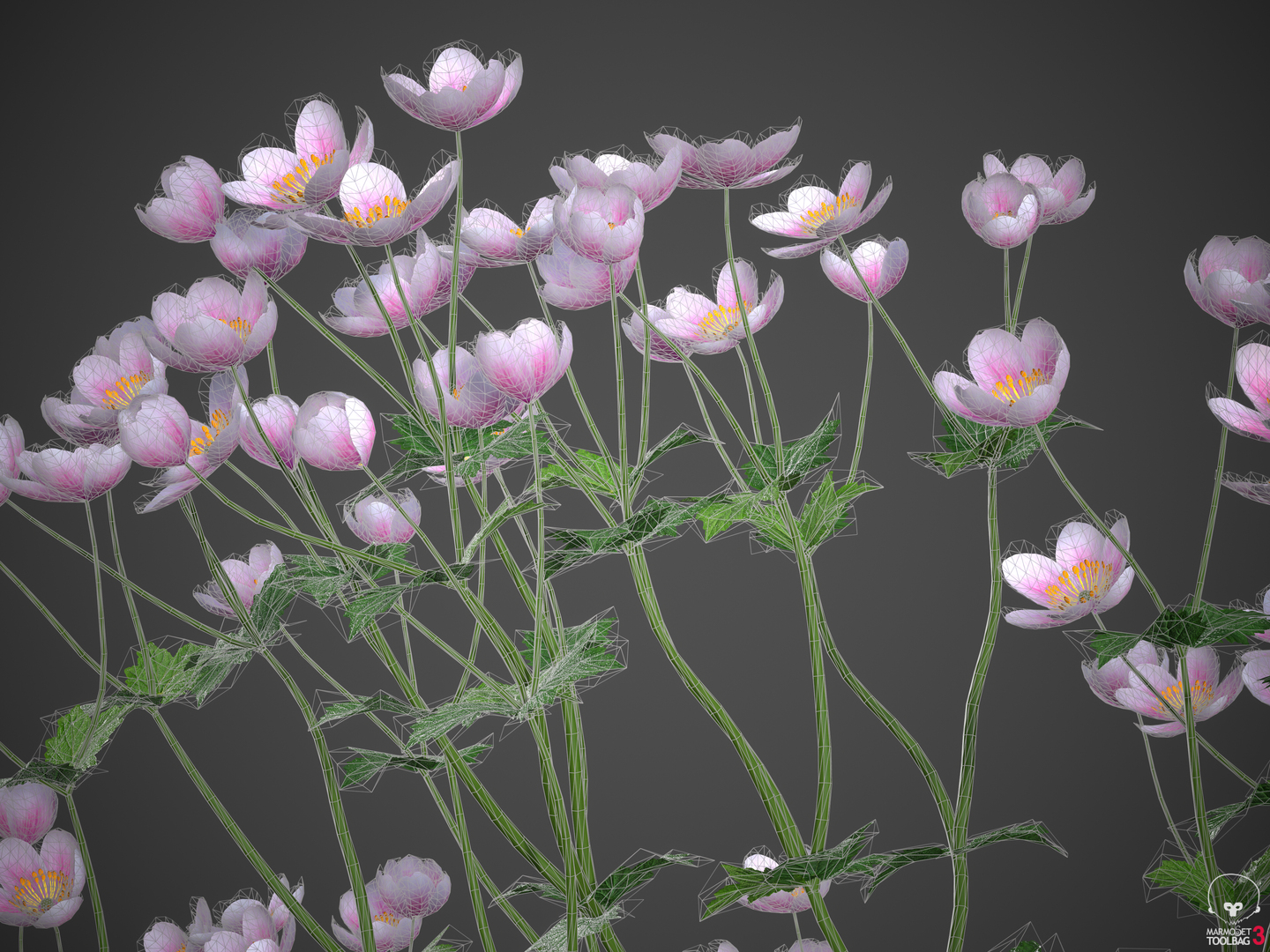 3D model XfrogPlants Anemone Hybrida - TurboSquid 1719404