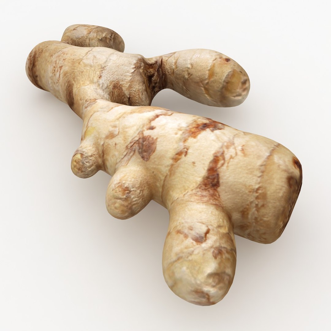 realistic ginger 3ds