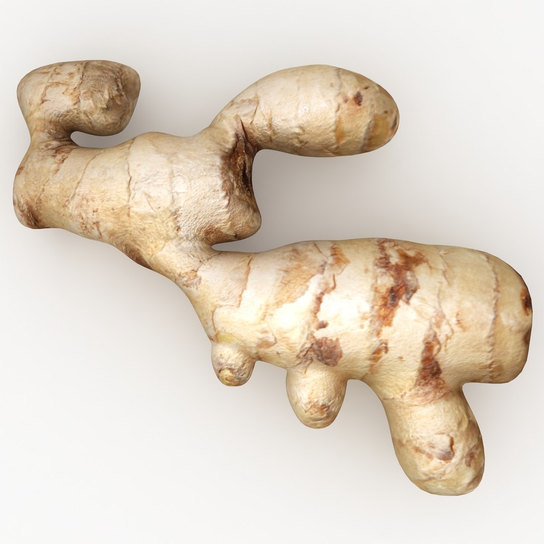 Realistic Ginger 3ds