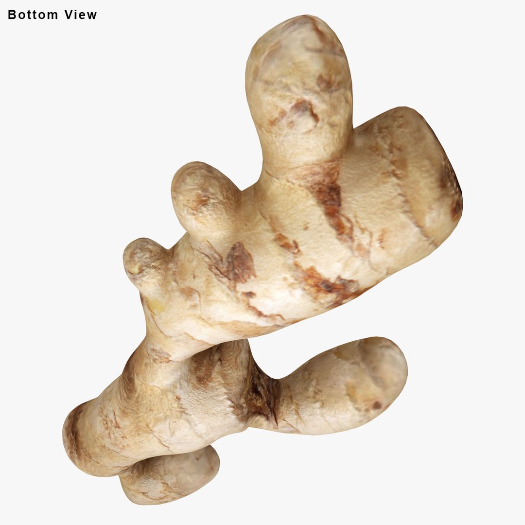 Realistic Ginger 3ds