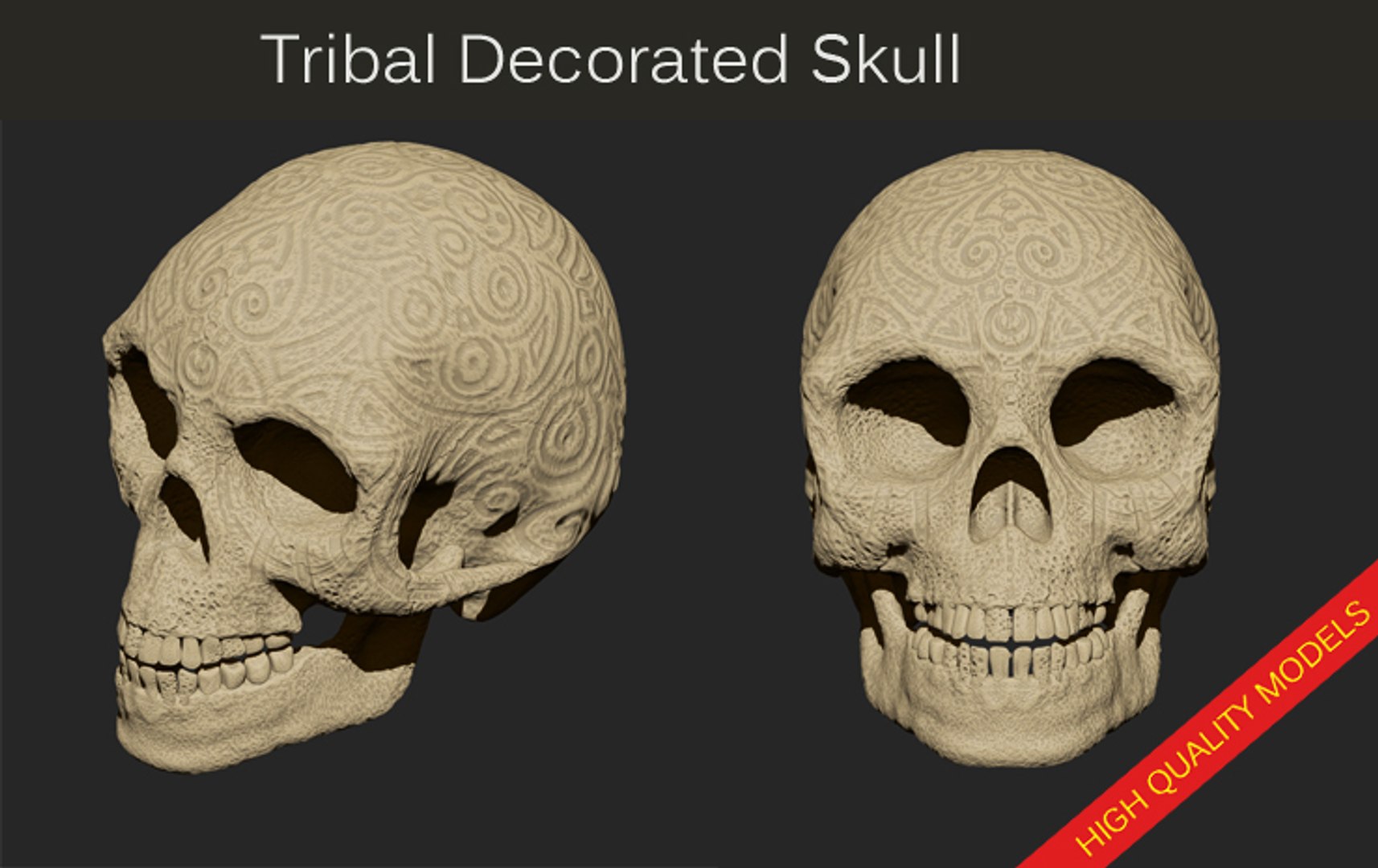 Skull Zbrush 3ds