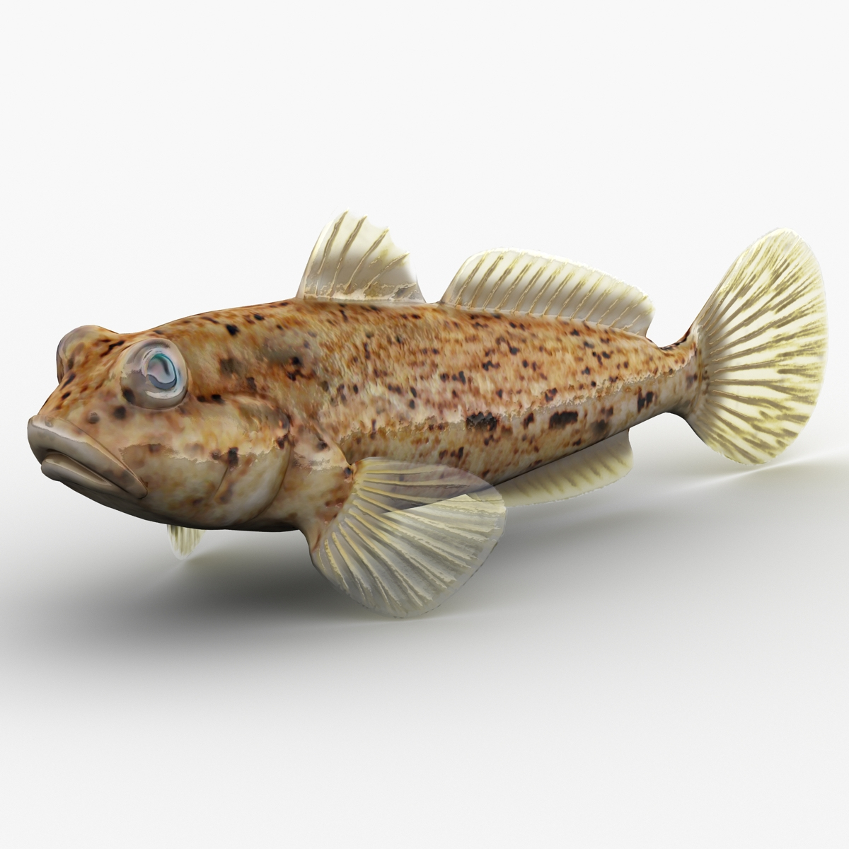 3d goby fish