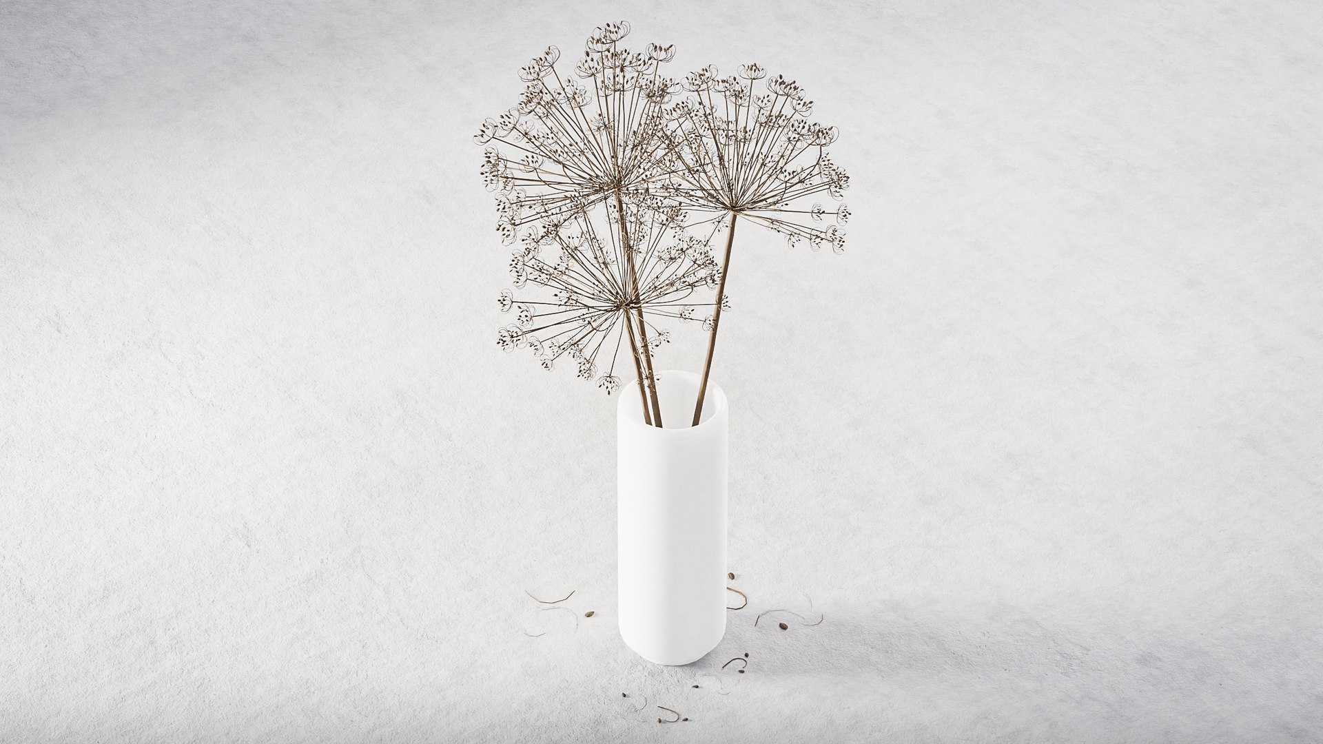 Dry Bushes Of Dill 3D Model - TurboSquid 1939057