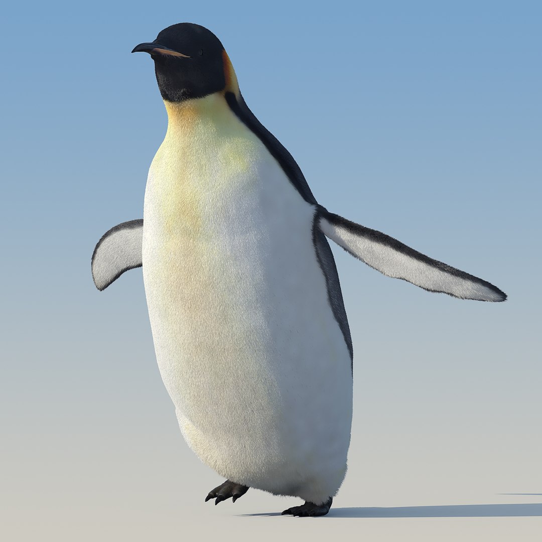 3d Emperor Penguin Fur Animation