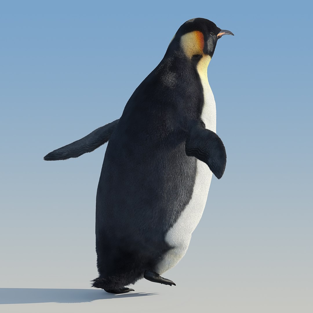 3d Emperor Penguin Fur Animation