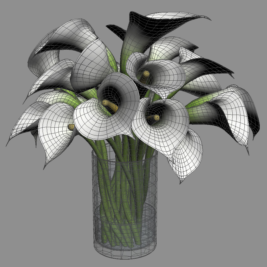 3d model realistic flowers calla lily