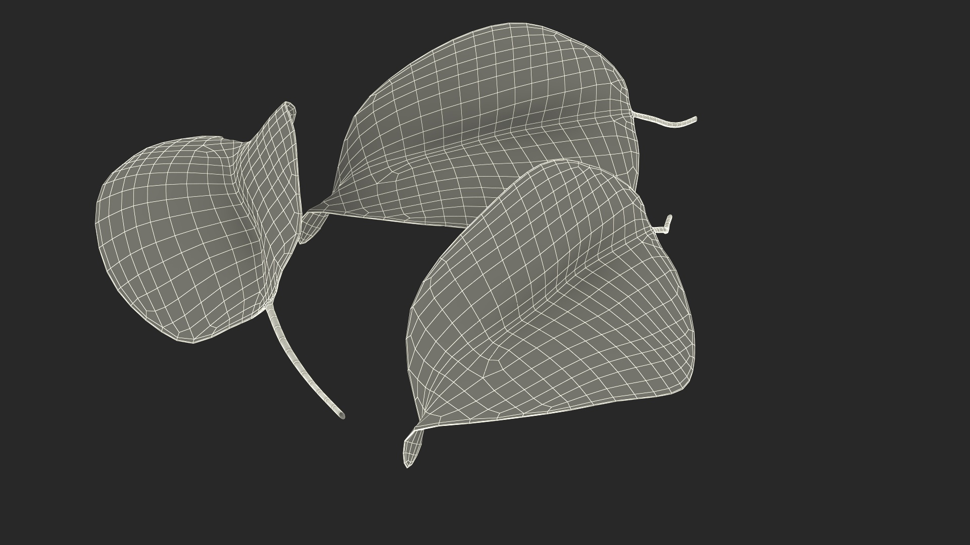 3D Model Quince Leaf - TurboSquid 2341223