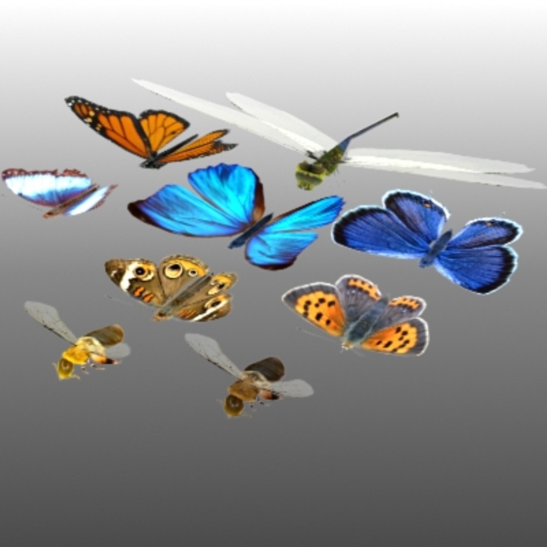 Flying Insects Butterfly Animation 3d Model