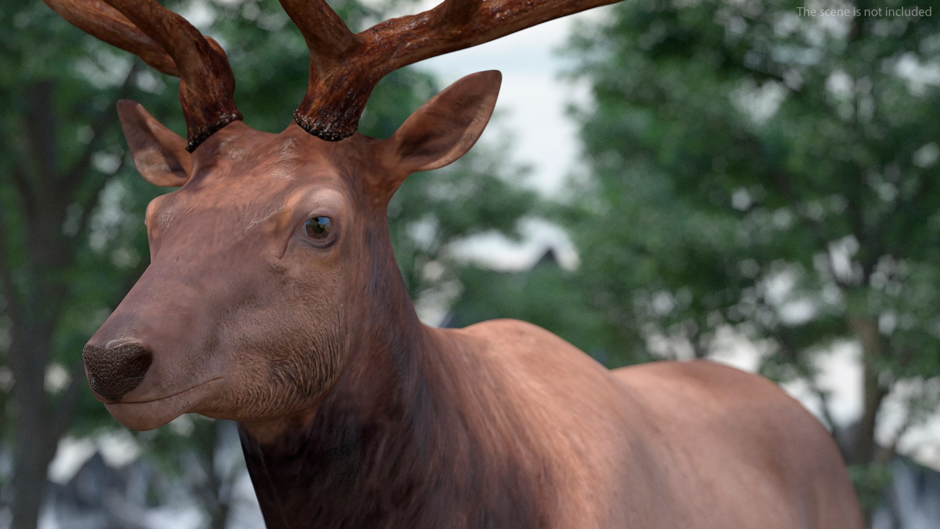 Realistic Elk Rigged 3D Model - TurboSquid 2266958