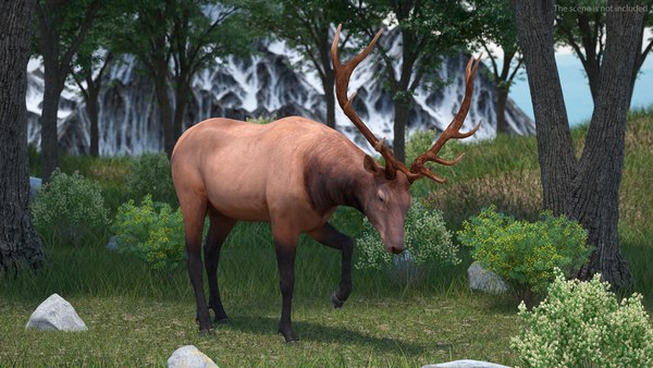 modelo 3d Alce realista manipulado - TurboSquid 2266958